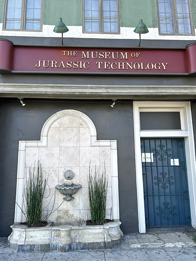 Step into a world where reality takes a coffee break and imagination runs the show.