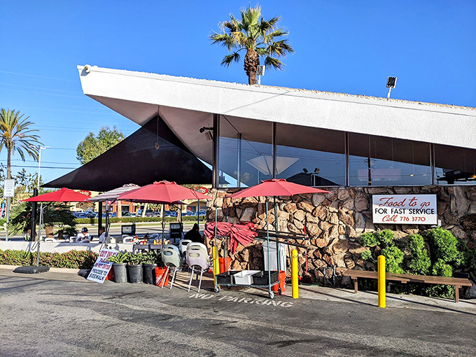 Sometimes the best meals come wrapped in the most unexpected architectural packages, like this retro gem.