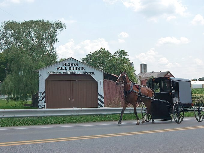 History crosses paths with tradition at Herrs Mill Bridge, where yesterday's engineering meets today's transportation. The ultimate Pennsylvania time warp!