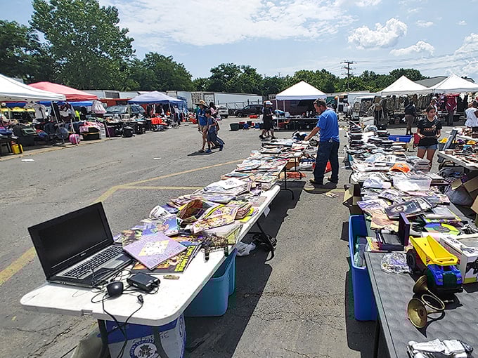 Books, gadgets, and memories waiting to be made. Patapsco's outdoor marketplace is where bargain hunters become treasure finders.