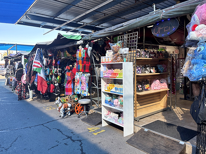 Rows of colorful merchandise create a shopping wonderland that would make any deal-hunting enthusiast's heart skip a beat.