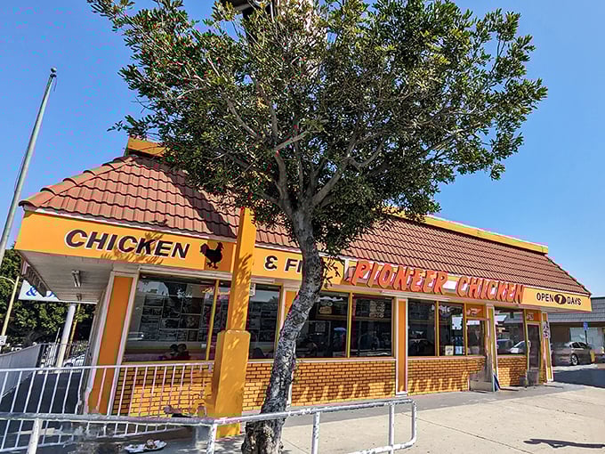 Sometimes the best treasures hide behind the most unassuming facades, just waiting to surprise your taste buds.