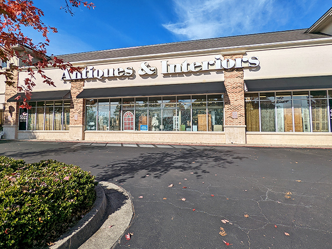 Clean lines and professional signage hint at the organized treasure hunt waiting beyond those doors.