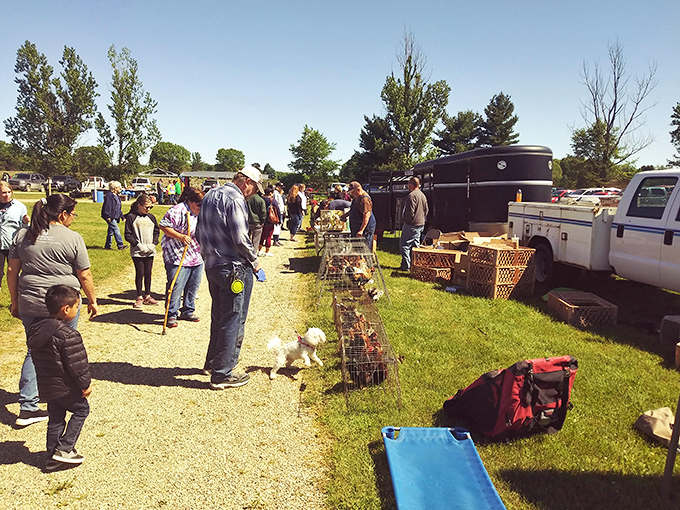 Vendors at Reits create an impromptu shopping village where every blanket holds potential discoveries and bargains.
