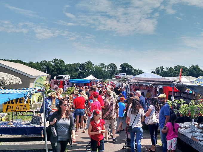 Summer sunshine bathes Rice's Market in golden light as shoppers weave through a maze of tents, each one a portal to possibility.