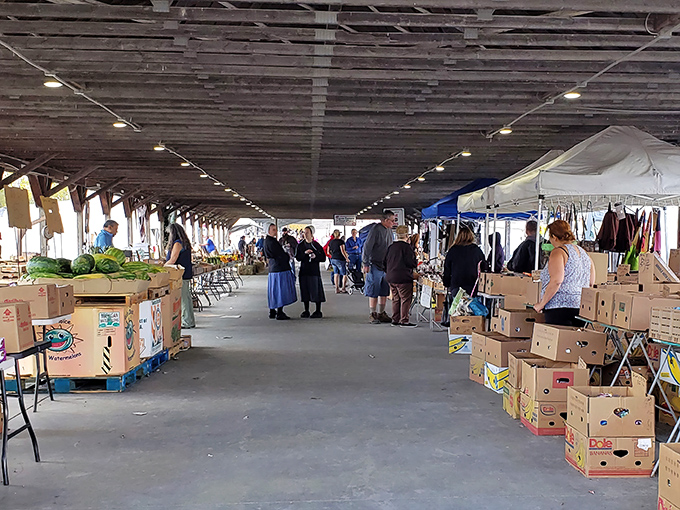 Boxes of potential treasures line the aisles at Rogers Market. One person's storage cleanout becomes another's jackpot!