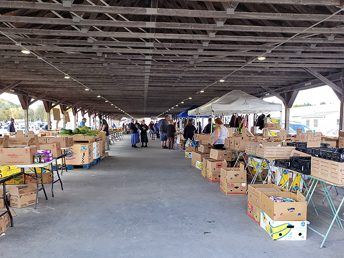 Rows of vendor tables stretch endlessly, creating a bargain hunter's version of the yellow brick road.