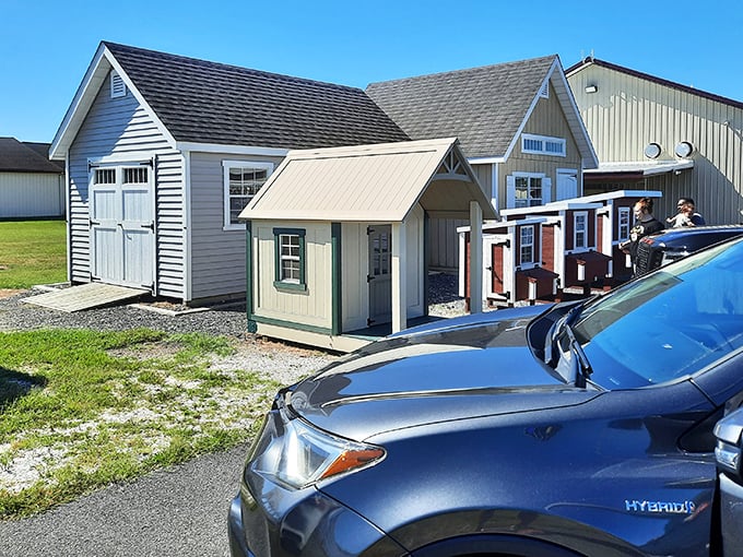 These charming little sheds hold more surprises than a magician's hat on a sunny Saturday morning.