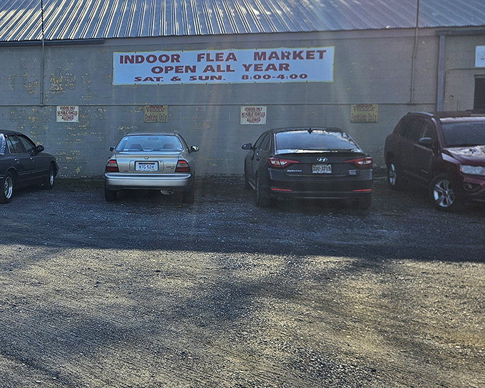 Indoor comfort meets outdoor charm where serious bargain hunters gather for weekend adventures.