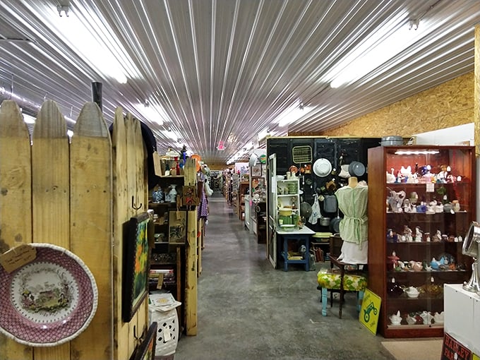 Step inside this treasure hunter's paradise where every aisle promises a new discovery around the corner.