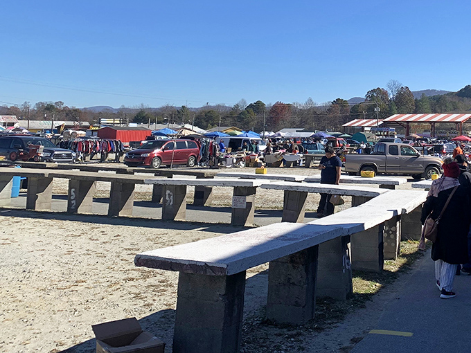 Weekend treasure hunters gather at Smiley's, where concrete benches offer respite for weary bargain-seeking feet.
