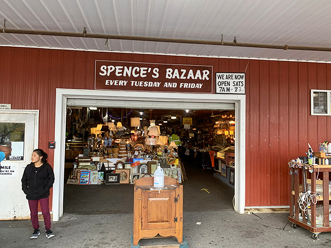 Step inside Spence's and discover aisles packed tighter than your grandmother's attic, but infinitely more organized.