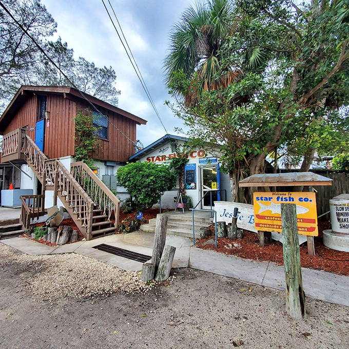 A wooden staircase leads to seafood paradise. At Star Fish Company, the journey to flavor begins with a humble entrance.