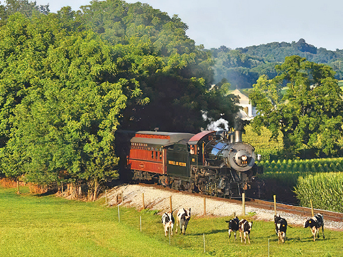 All aboard the nostalgia express! This vintage steam locomotive chugs through countryside so green it makes Ireland jealous.