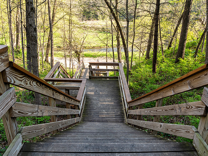 These wooden steps beckon you downward into a forest sanctuary. The stairway to heaven? No, something better&mdash;the stairway to unplugged bliss.