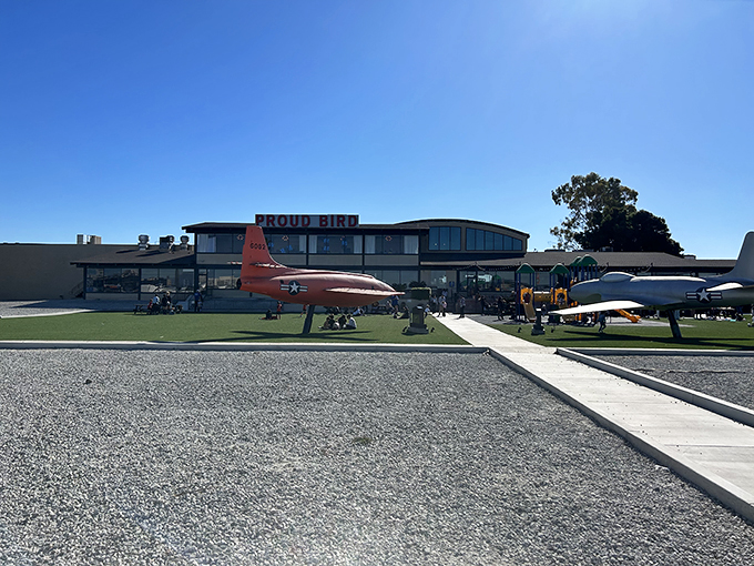 Where else can you spot a vintage aircraft while planning your next meal? Pure nostalgic magic awaits here.