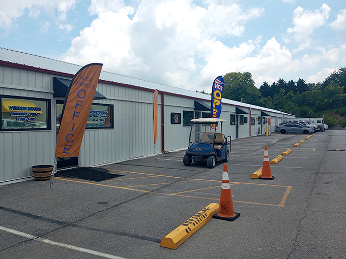 Wide parking areas mean you won't circle forever looking for a spot near the entrance.