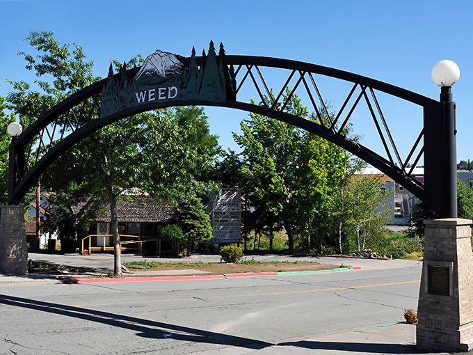 That famous Weed arch - proving sometimes the best destinations have the most memorable names.