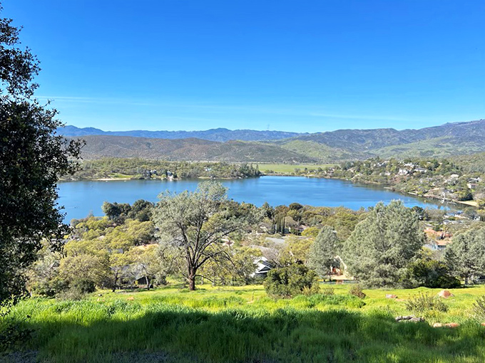 Morning light bathes the lake in golden hues, creating that "I could get used to this view with my coffee" moment every retiree dreams about.