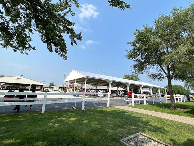 Blue skies and white pavilions create the perfect backdrop for a day of discovery at the Kane County Fairgrounds.