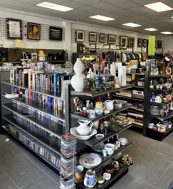 A bibliophile's dream meets dishware heaven—where yesterday's bestsellers and tomorrow's dinner parties find common ground.