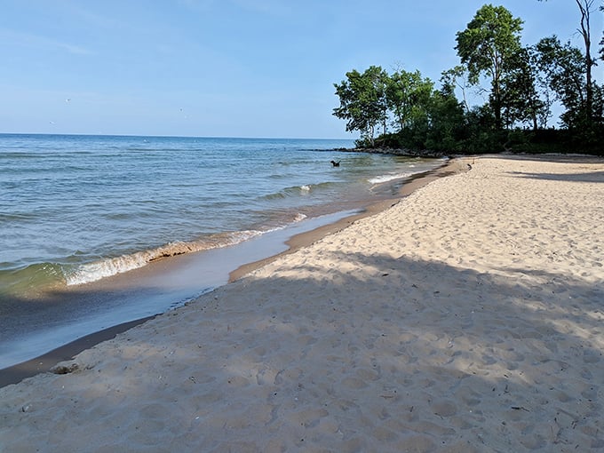 Where Lake Michigan meets Wisconsin soil, creating a sandy paradise that rivals coastal beaches. Who needs Florida when this freshwater oasis awaits?