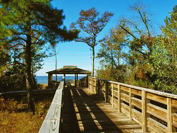 This boardwalk doesn't lead to funnel cakes and carnival games, but something infinitely better&mdash;a front-row seat to nature's quiet masterpiece.