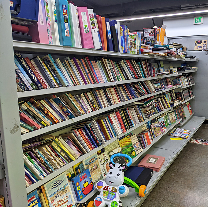 Literary treasures stacked like colorful dominoes, waiting for bookworms to discover their next great adventure for pocket change.