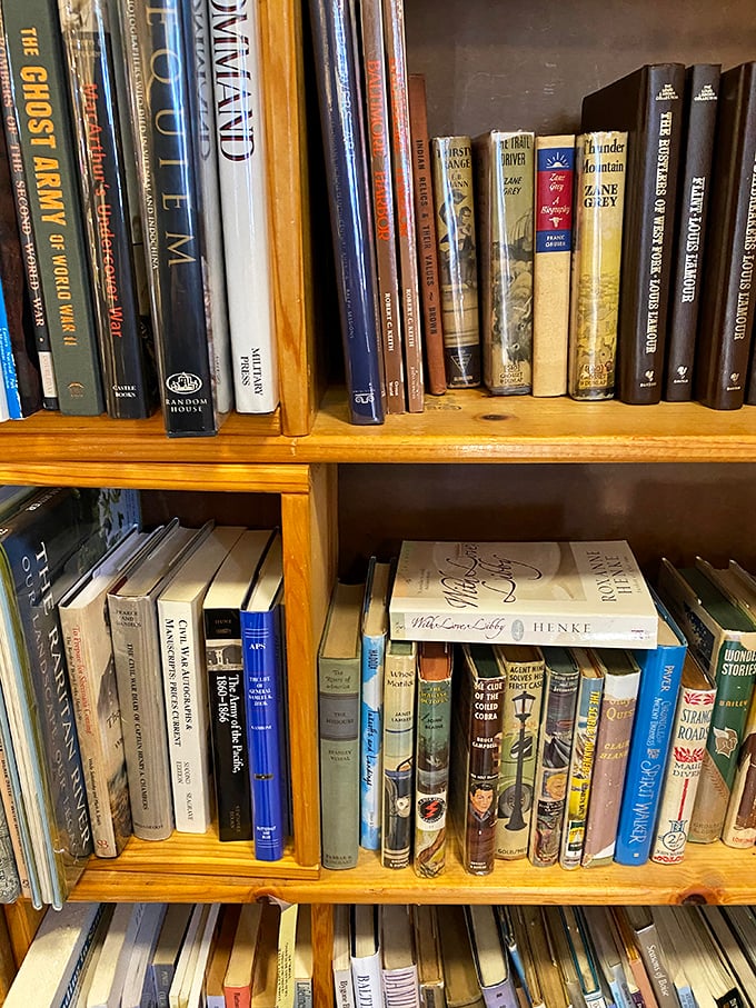 Literary treasures stand at attention, their spines telling stories before you even crack them open. Each shelf holds someone's memories waiting for a new chapter.