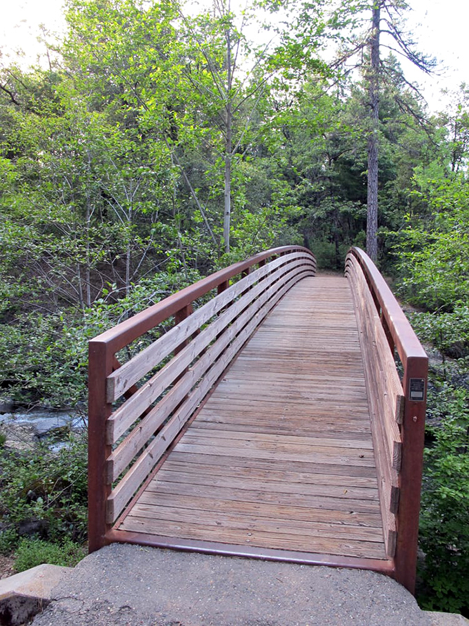 This isn't just any bridge&mdash;it's the gateway to adventure. Cross over and leave your everyday worries on the other side.