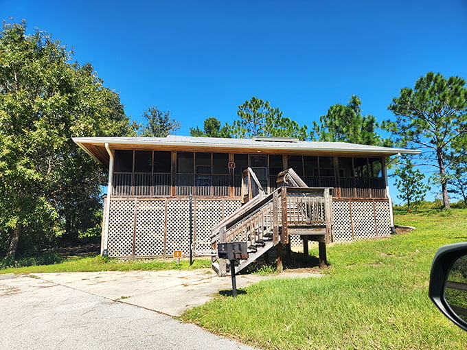 These lakeside cabins aren't just accommodations&mdash;they're front-row seats to nature's daily performance of light dancing across water and wind whispering through pines.