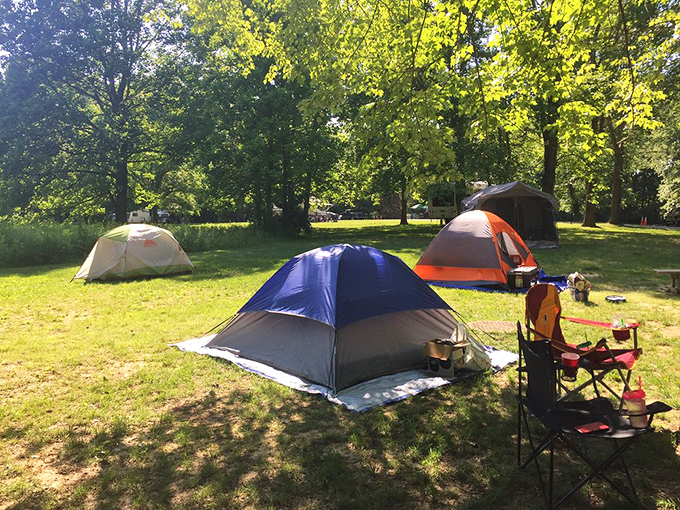 Camping nirvana where trees provide natural air conditioning and squirrels offer free wake-up calls. No resort can match this ceiling of leaves.