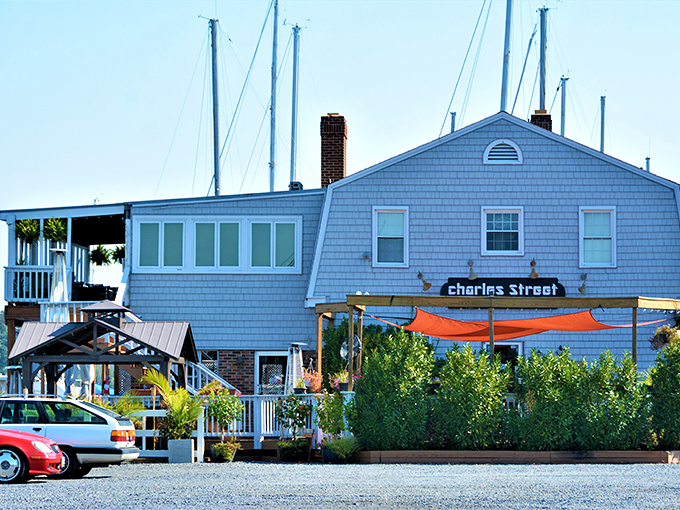 Charles Street Brasserie offers waterfront dining with a side of nautical charm &ndash; where seafood tastes fresher because you can practically wave to the fishing boats.