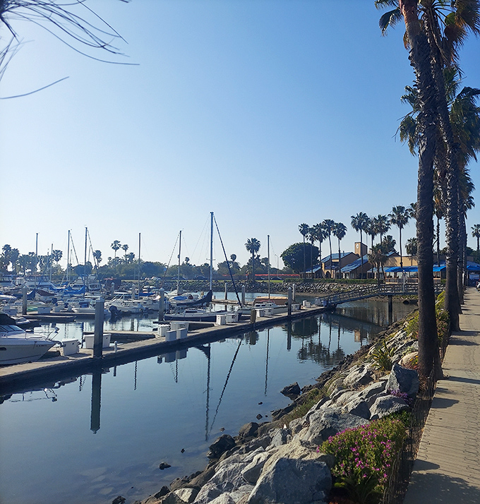 Morning reflections at Chula Vista Marina create a postcard-worthy scene. Palm trees stand sentinel as boats wait patiently for their next adventure.