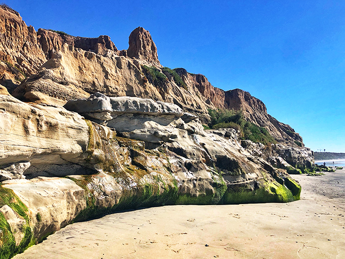 Layer upon geological layer, Terramar's cliffs tell Earth's story better than any textbook. Mother Nature's architecture puts our human efforts to shame.