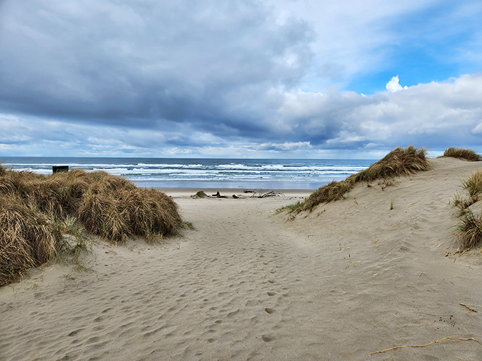 Where sand meets sky in a moody Oregon coast tableau. These dune pathways feel like personal invitations to discover what lies beyond.
