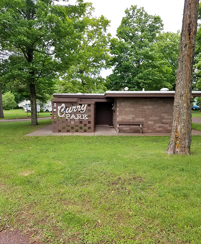 Curry Park offers that perfect blend of rustic charm and practical facilities. It's camping with just enough civilization to keep things civilized.