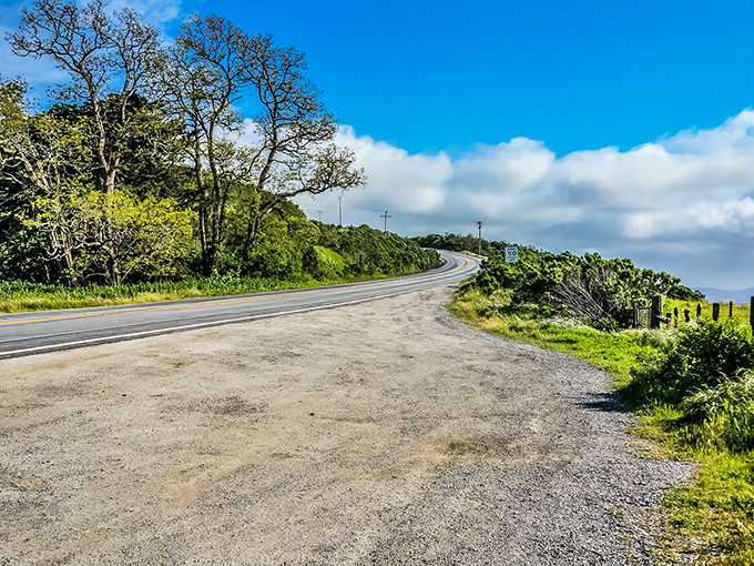 The road curves ahead like a promise of adventure, where every bend reveals another postcard-worthy vista that no filter could improve.