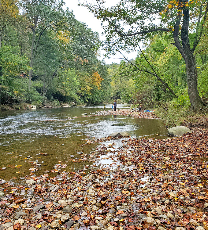 Autumn's paintbrush transforms Deer Creek into a scene straight from a Thoreau daydream. Those fallen leaves aren't litter&mdash;they're nature's confetti.