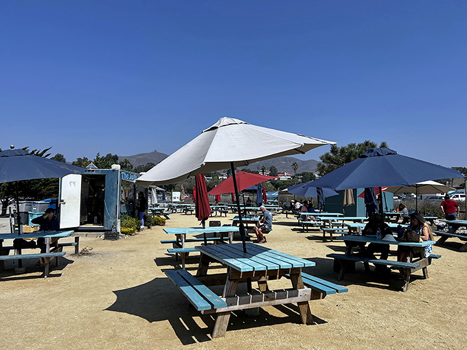 Paradise found: turquoise picnic tables under beach umbrellas, mountains in the distance, and seafood that makes you question why you ever ate indoors.
