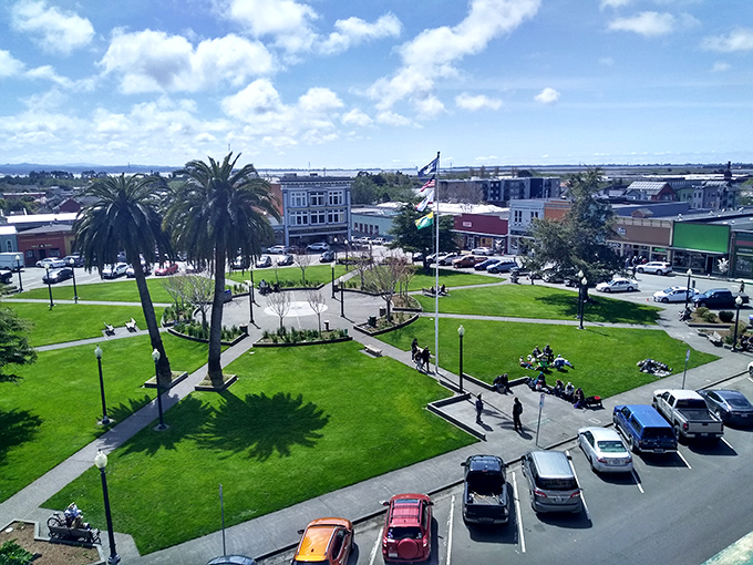 Blue skies frame Arcata's town square, where palm trees have been throwing shade since long before it became a social media term.
