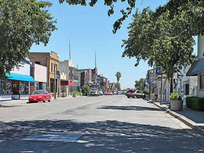 Sunlight bathes Isleton's quiet downtown, where palm trees and historic storefronts create a scene straight from a small-town California postcard.