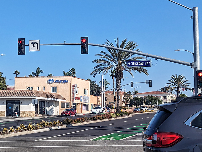 Pacific Coast Highway isn't just a road&mdash;it's California's main artery, pumping sunshine and palm trees through the heart of beach towns.