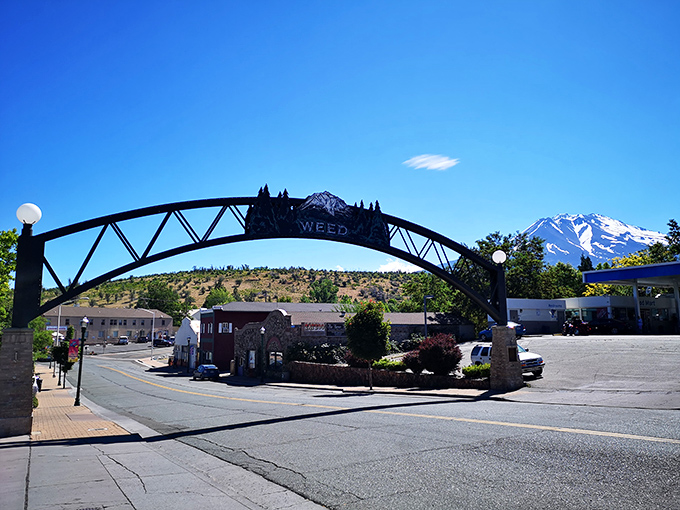 The iconic Weed arch welcomes visitors with small-town charm and big mountain views &ndash; a gateway to adventures that defy the town's compact size.