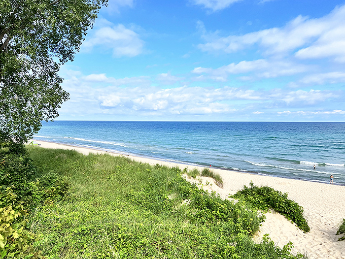 Nature's perfect gradient: emerald dunes, golden sand, and the endless blue of Lake Michigan create a postcard-worthy scene.