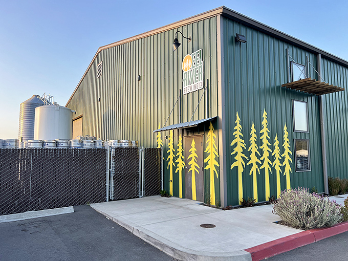 Eel River Brewing Company's exterior might be industrial-chic, but those yellow redwood silhouettes hint at the organic, forest-to-glass philosophy inside.