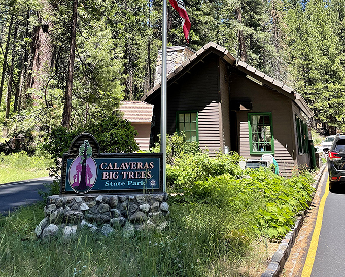 Welcome to your new favorite secret &ndash; this entrance sign might as well say "Narnia, this way."