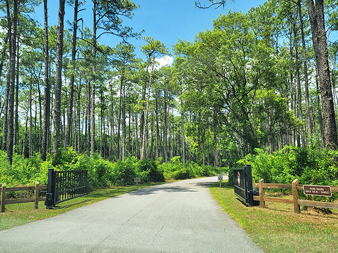 The unassuming entrance gives no hints of the wonder beyond. It's like the world's best restaurant hiding behind a convenience store facade.