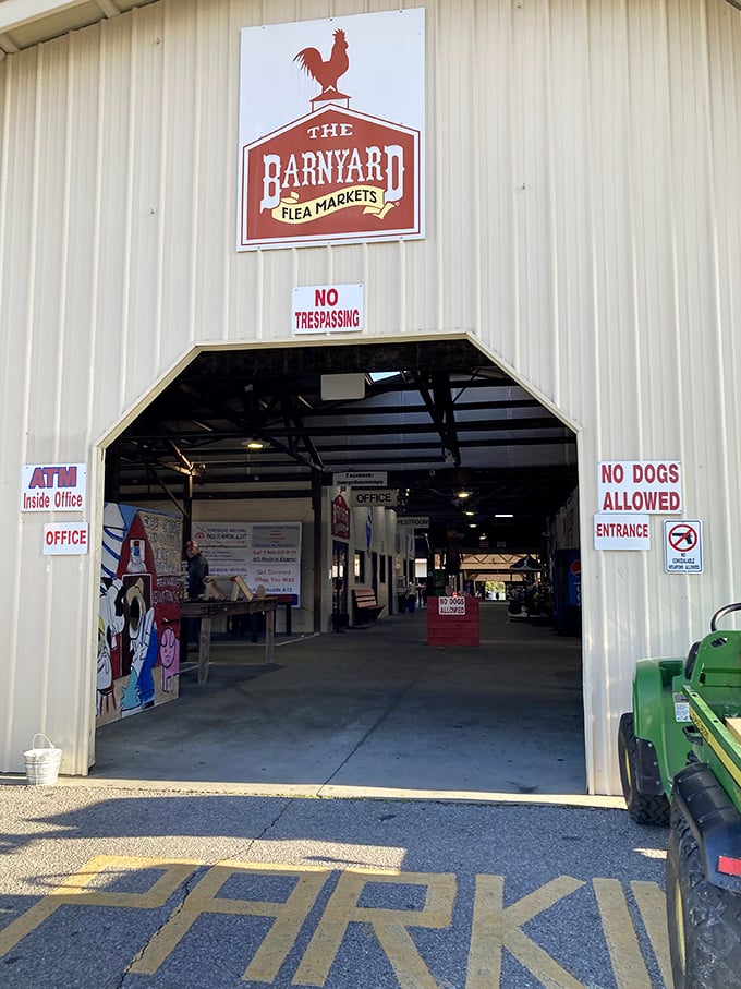 That iconic red rooster logo welcomes you to a world where "No Dogs Allowed" signs are the only thing keeping Fido from finding his own treasures.
