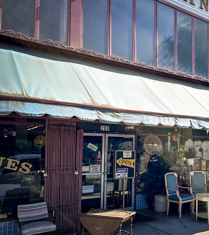 Step through these doors and enter a wonderland where every forgotten dream finds new life.